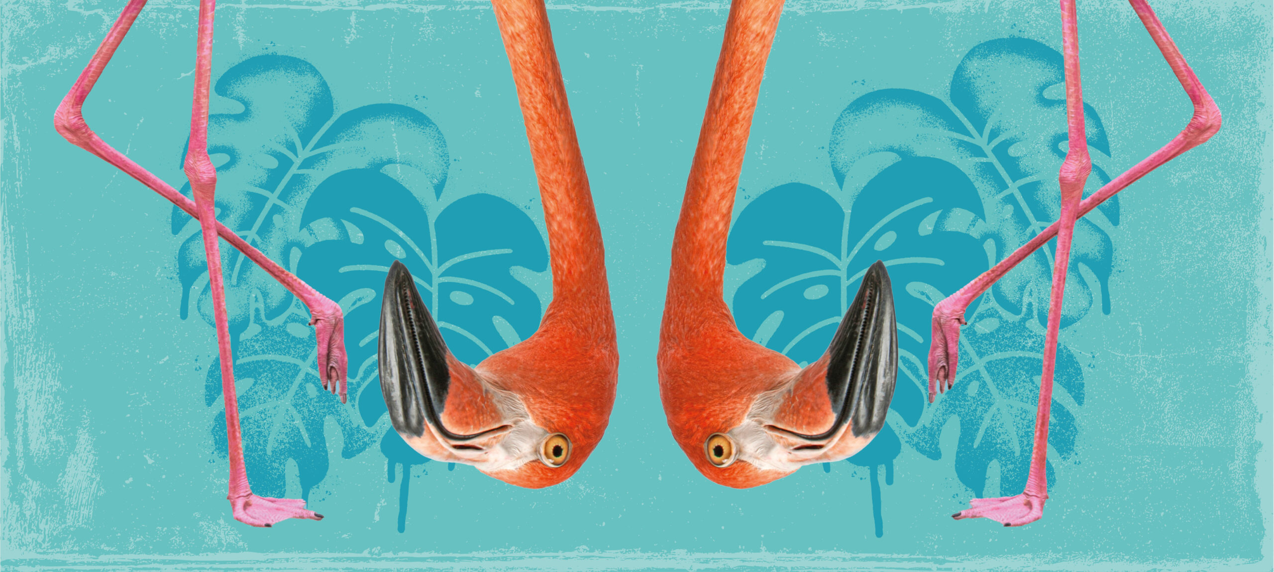 SME Flamingos - Publicis Pro